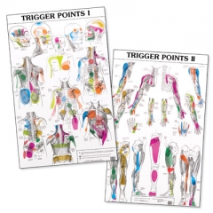 Trigger Point Charts I and II - Charts | 1989
