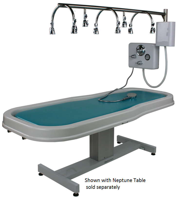 Vichy Shower | 22003 Touch America