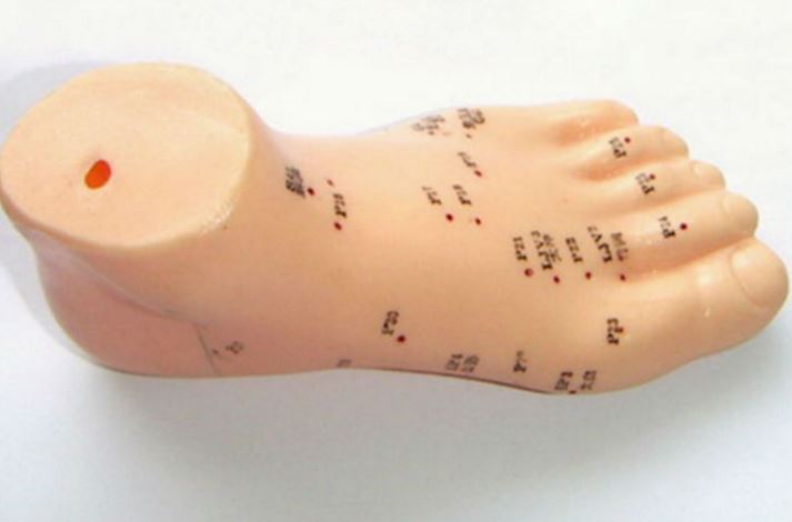 Acupoints Rubber Foot Model - Models | F-04A